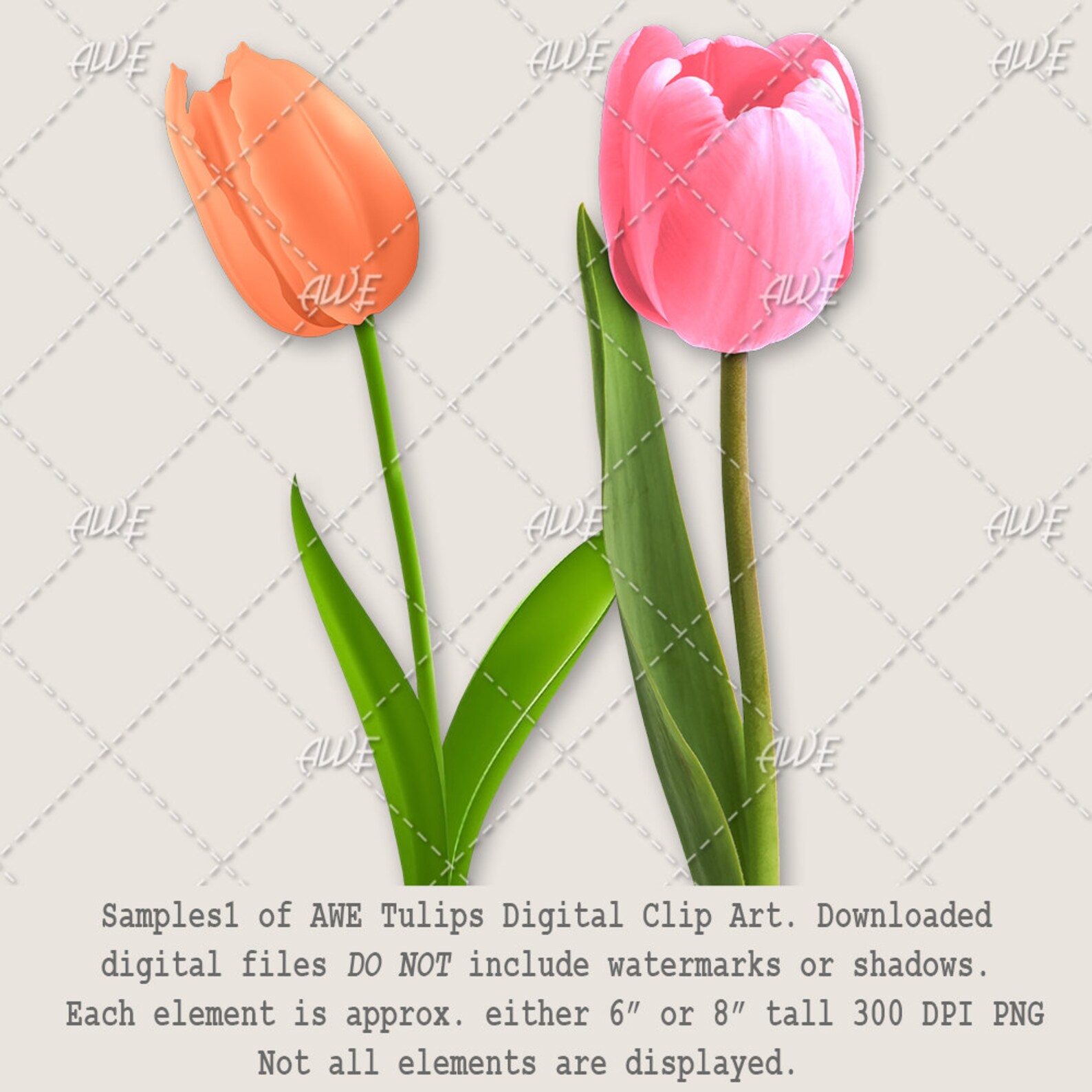 Tulips Digital Clip Art by Awesomescrapper High Quality, 300 DPI Pngs ...