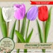 Tulips Digital Clip Art by Awesomescrapper High Quality, 300 DPI Pngs ...