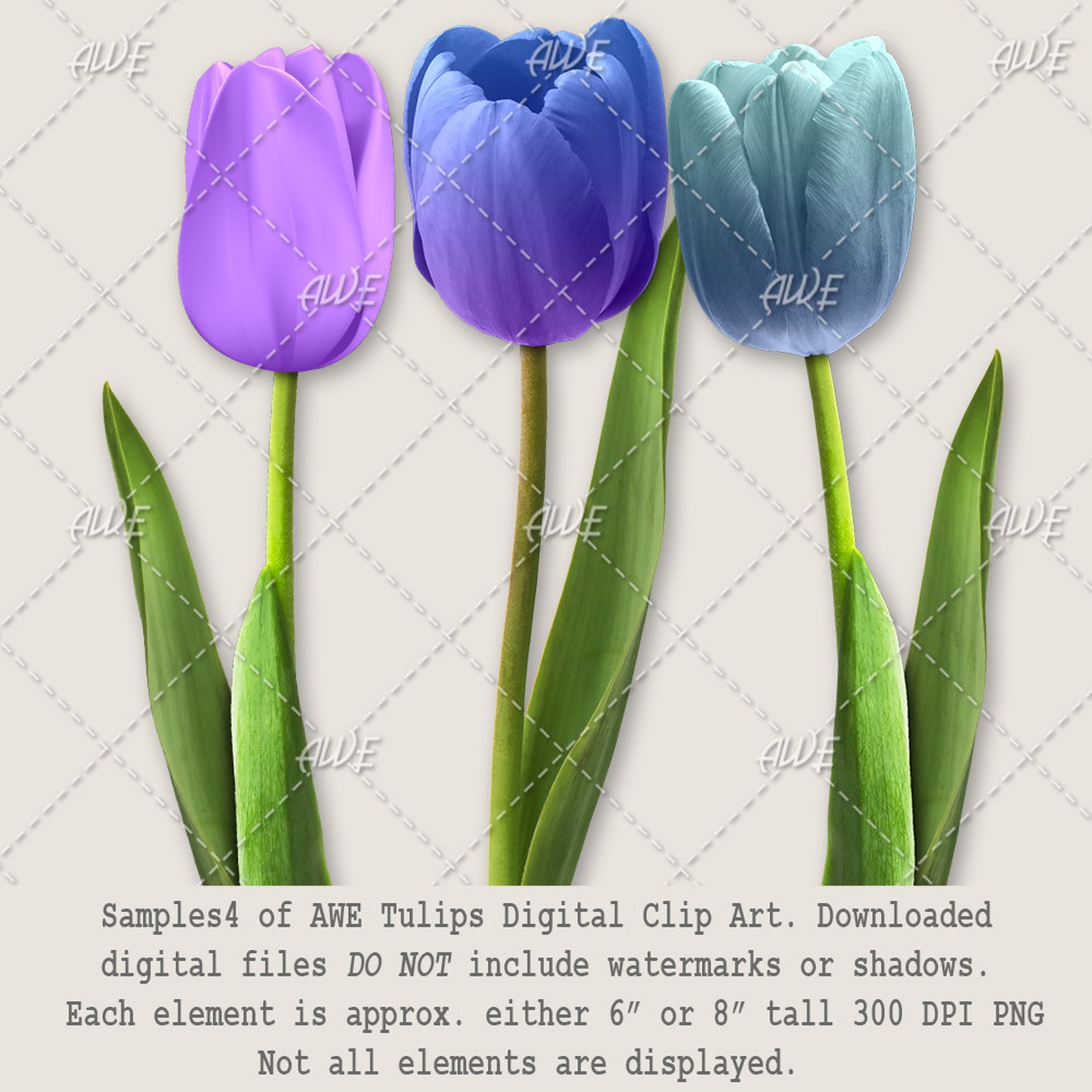 Tulips Digital Clip Art by Awesomescrapper High Quality, 300 DPI Pngs ...