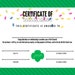 Junior Girl Scout Investiture/rededication Certificate - Etsy