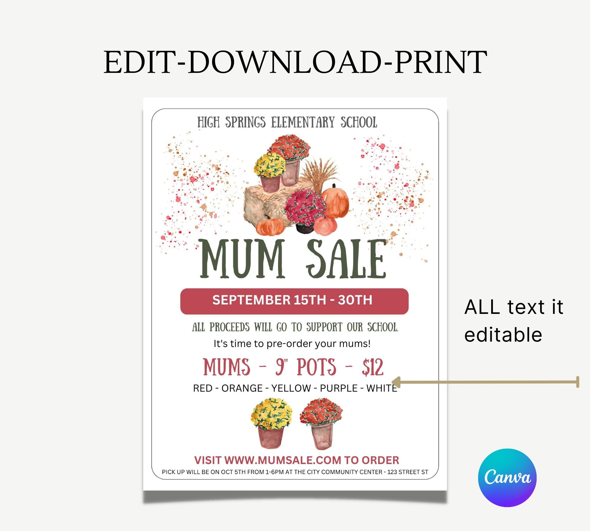 Fall Mum Sale Fundraiser Flyer Template, School Fundraiser Flyer, PTA ...