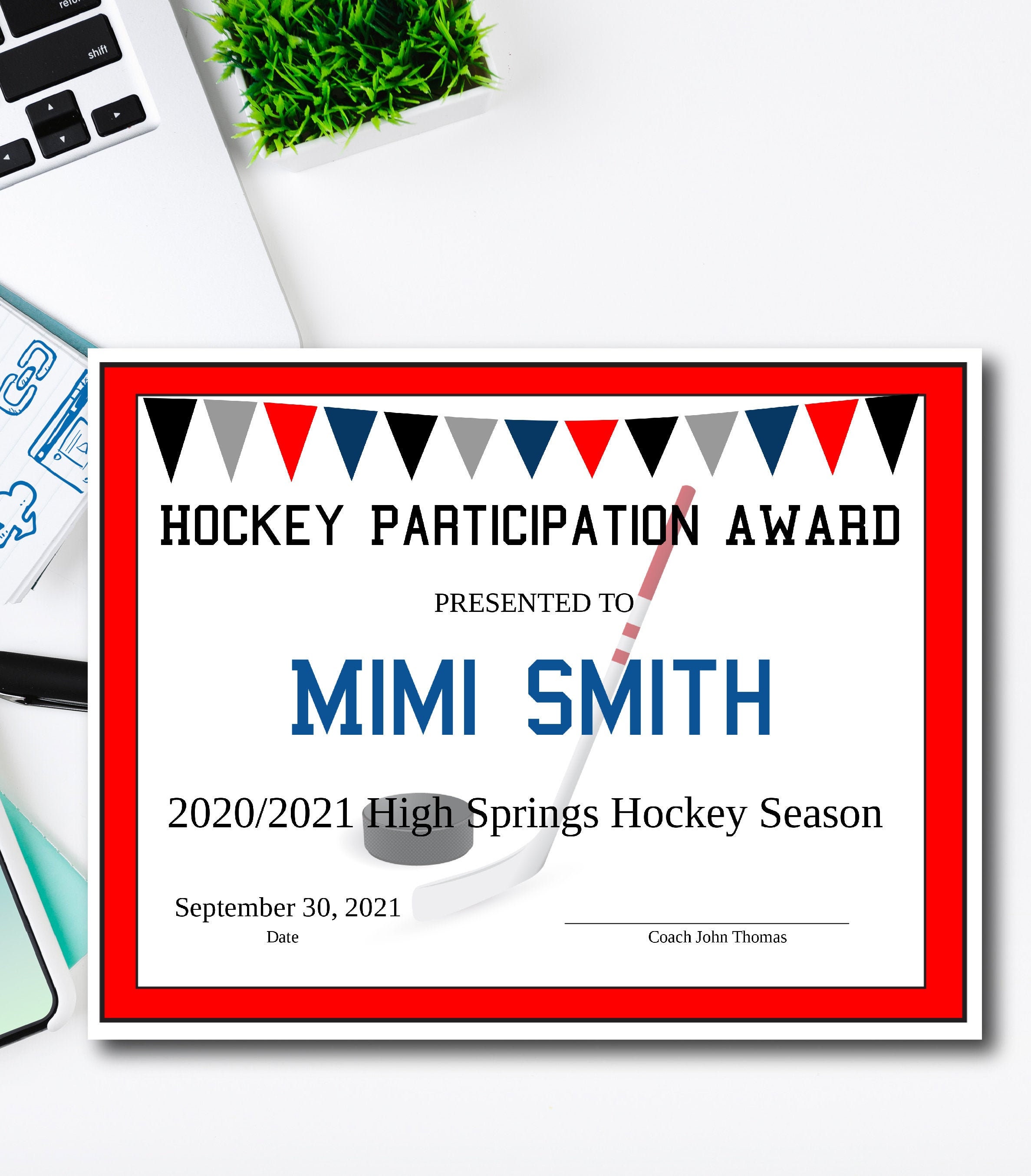 Participation Trophy Hockey