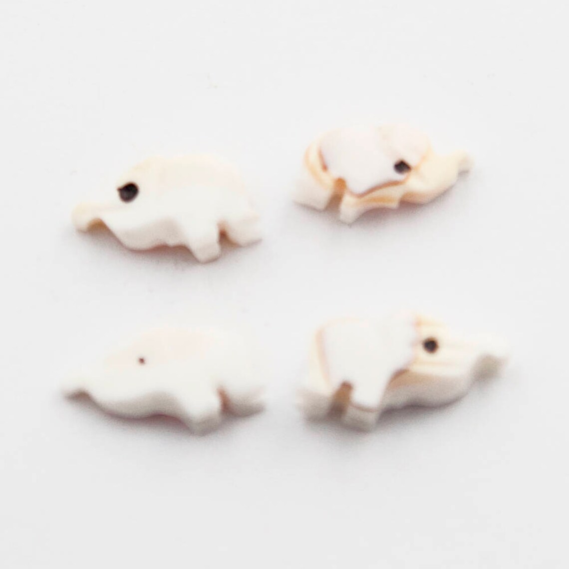 Carved Conch Elephant Beads 11 X 6 Mm Center Drilled 4 | Etsy