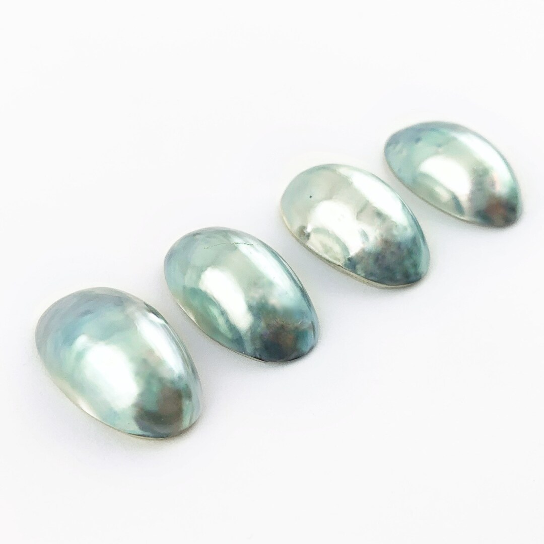 Large Grey Osmena Shell Cabochon, 25x15mm, Nautilus Pearl Shell ...