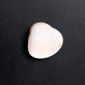 Fossilized Australian Opal Clam Shell, 1/2" Inch, 4.5 Ct, Natural ...
