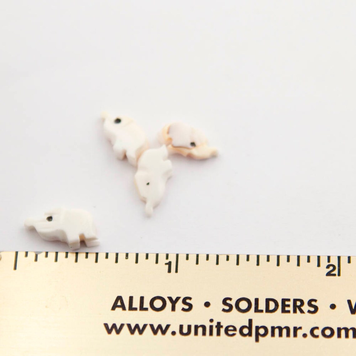 Carved Conch Elephant Beads 11 X 6 Mm Center Drilled 4 | Etsy