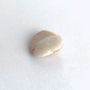 Fossilized Australian Opal Clam Shell, 1/2" Inch, 4.5 Ct, Natural ...