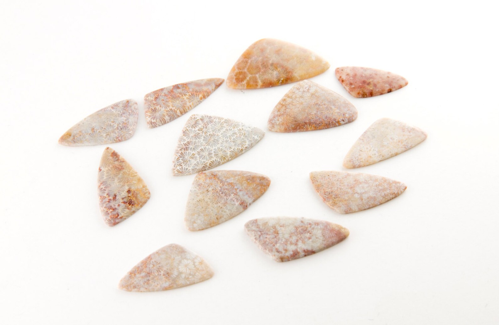 Hand Cut Free Form Fossil Coral Triangle Cabochons, 20-26mm - Etsy
