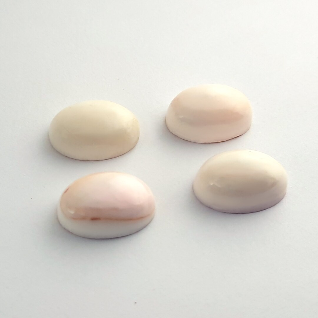 Natural Oval Conch Shell Cabochons, 14x10mm, 4 Piece Lot, Pink Conch ...