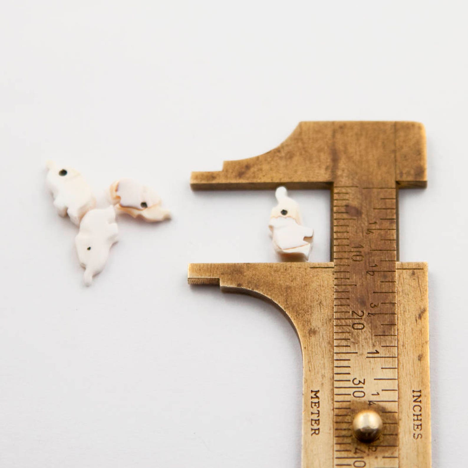 Carved Conch Elephant Beads 11 X 6 Mm Center Drilled 4 - Etsy