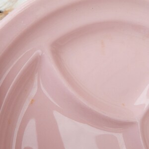 Pink Divided Plates Set of 4 FLAMINGO Wellsville SHELL PINK Sterling ...