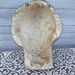 Antique Plaster Head Woman, Plaster Achitectural Fragment Female Head ...