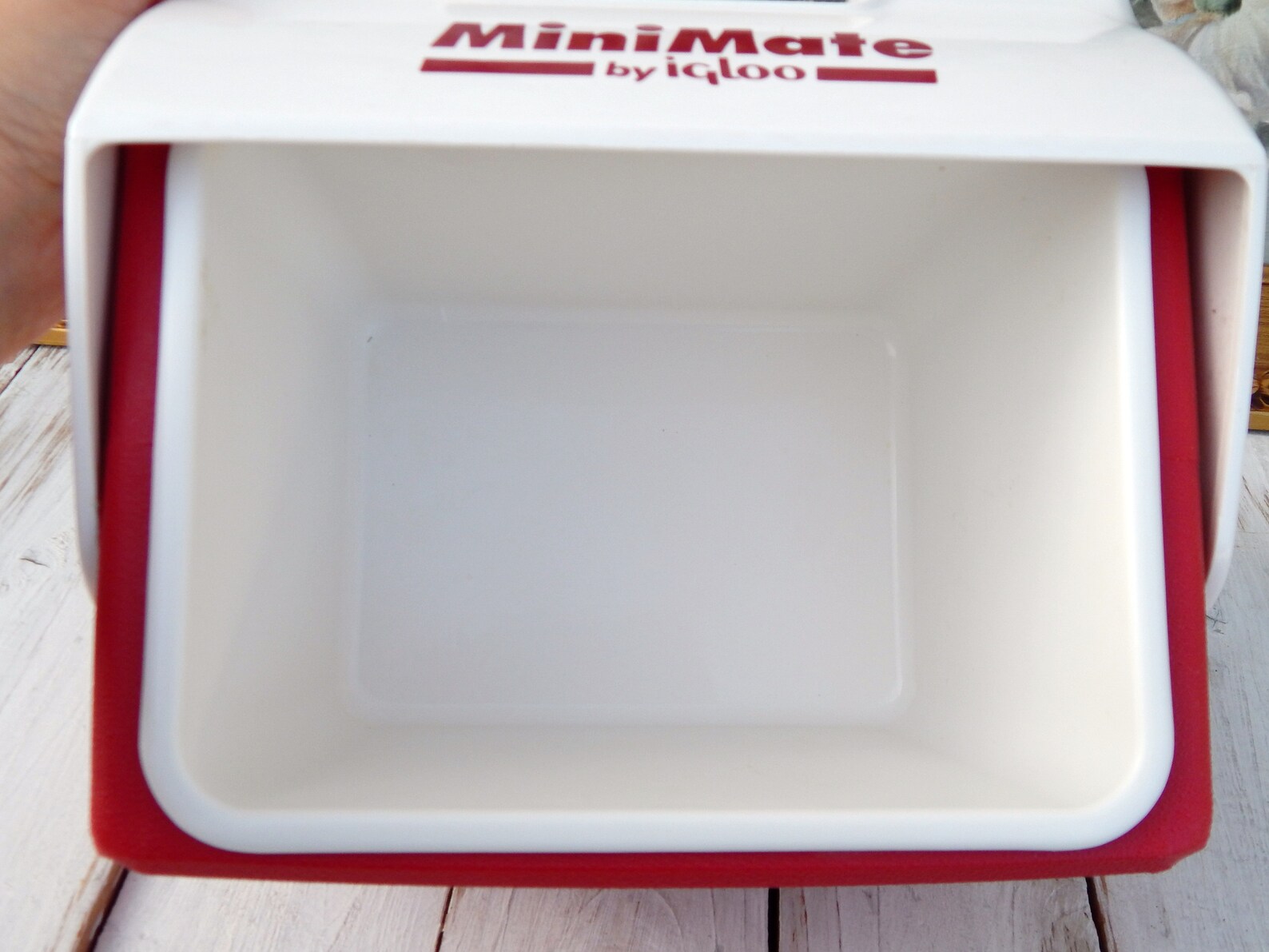 IGLOO Mini Mate Cooler, Vintage Red Small Cooler Personal Lunch Box ...