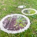 Raw Quartz Crystal Mirror - Etsy