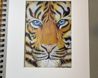 Tiger Colored Pencil Drawing - Etsy