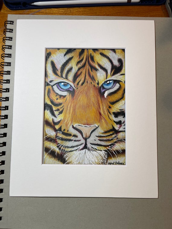 Tiger Colored Pencil Drawing - Etsy