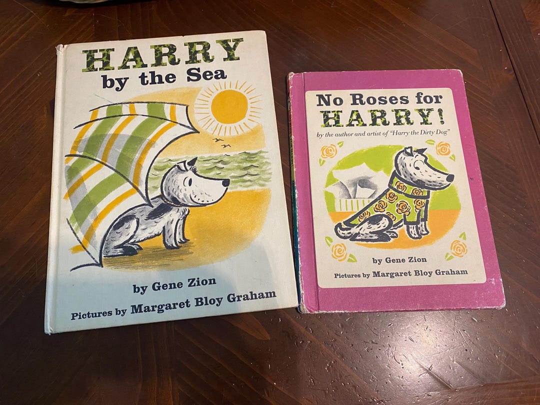 Harry by the Sea by Gene Zion/no Roses for Harry! by Gene Zion - Etsy