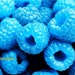 1/2 Ounce Blue Raspberry Flavor Oil