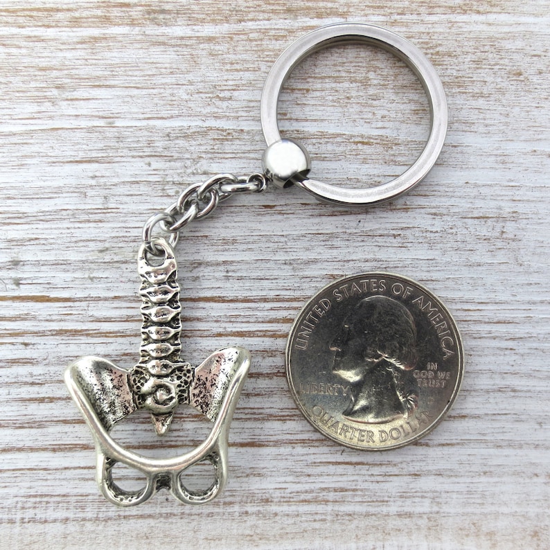 Spine Keychain Anatomy Keychain Silver Spine Charm - Etsy