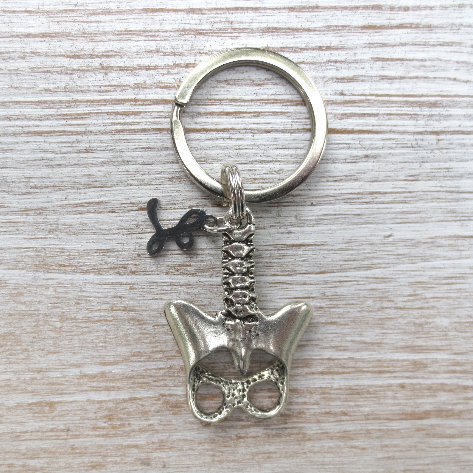 Spine Keychain Anatomy Keychain Silver Spine Charm | Etsy