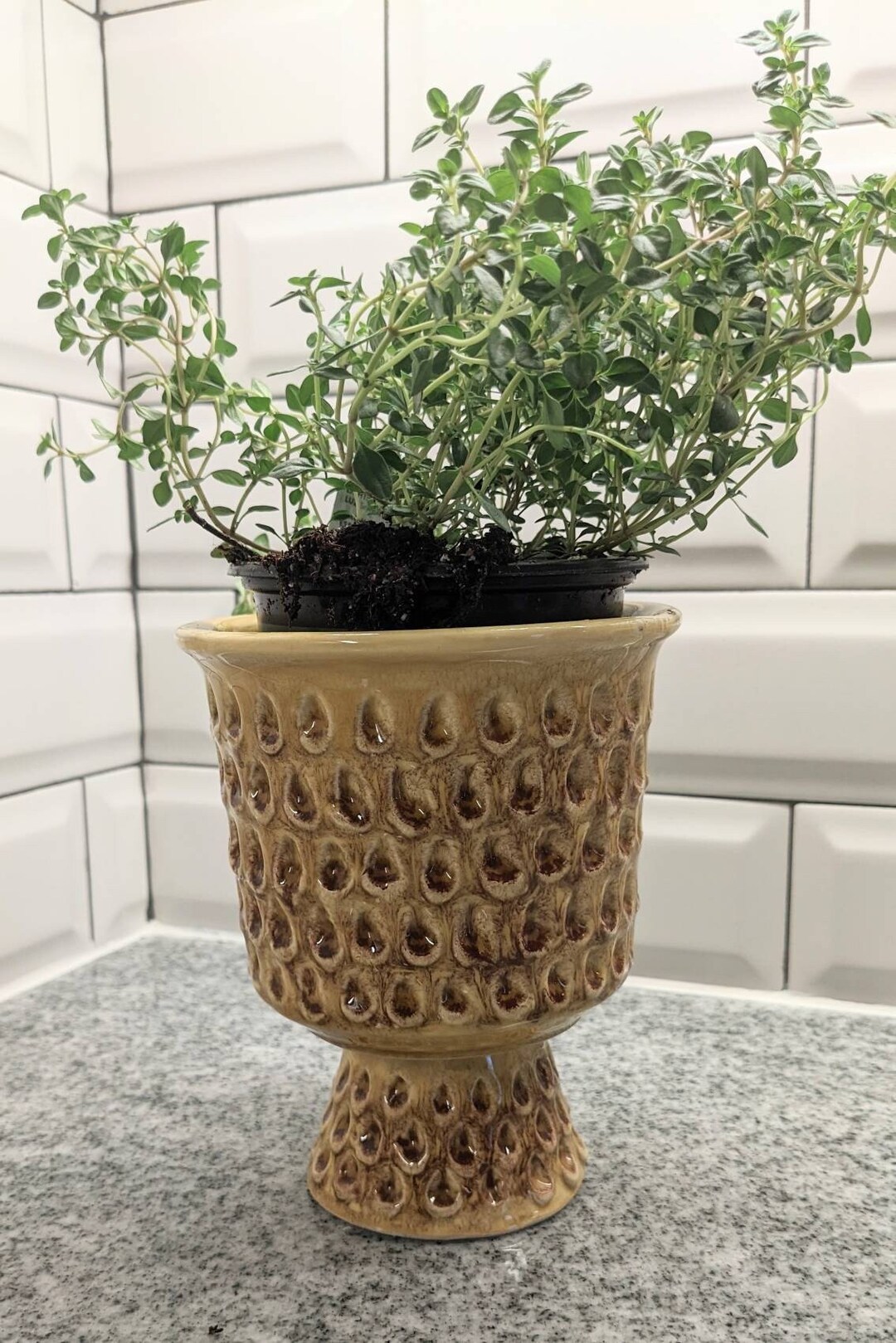 Inarco Pedestal Planter, Japan, Flower Pot, Vase, Yellow Dew Drop ...