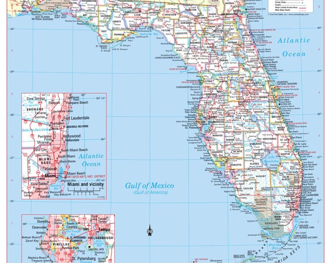 Florida State Wall Map Large Print Poster - Etsy