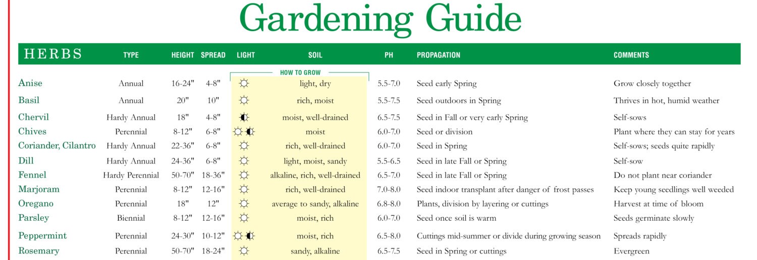 Gardening Guides Poster for Edible Plants Herbs Flowers | Etsy