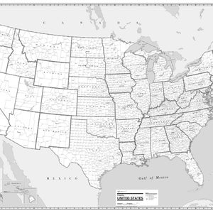 USA County Wall Map Black & White Poster - Rolled Paper or Laminated - Etsy