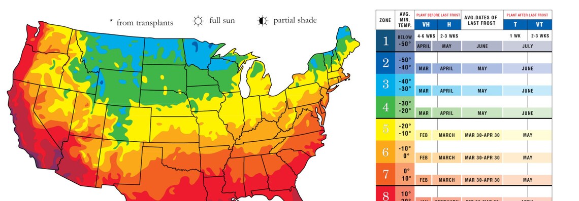 Gardening Guides Poster for Edible Plants Herbs Flowers | Etsy