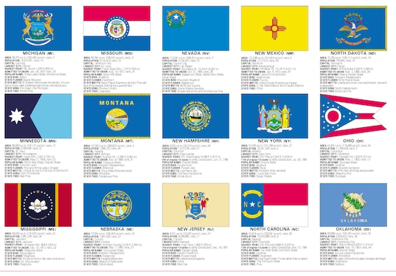All 50 State Flags Printables 50 US State Flag Flashcards | Learn The