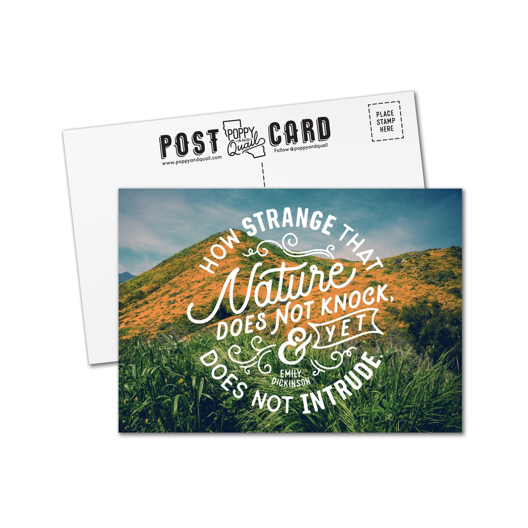 Nature Postcards - Etsy
