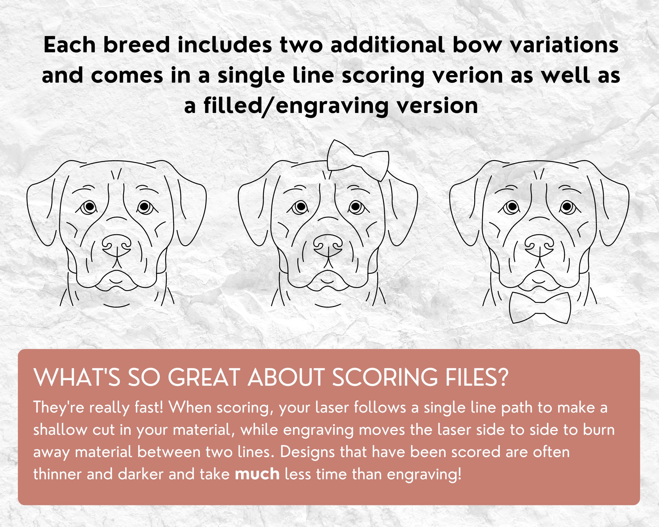 SCORING + Engraving Top 25 Dog Breeds Glowforge Laser Cutting, SVG File ...