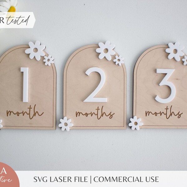 Baby Monthly Milestone Svg - Etsy