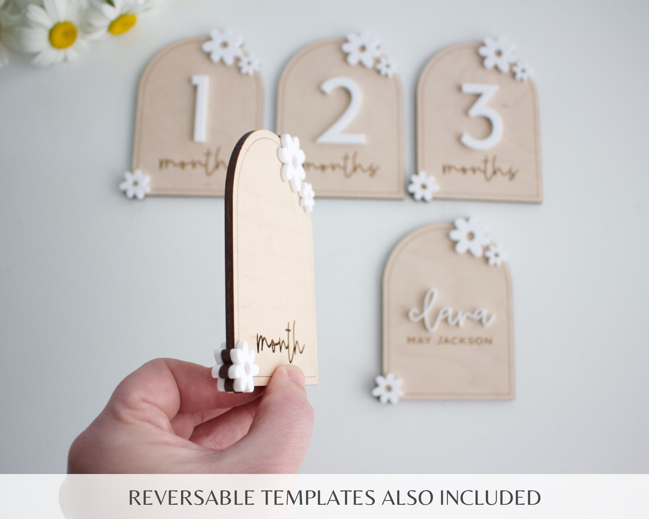 SVG Daisy Milestone Set | Reversible First Year of Baby Photo Props ...
