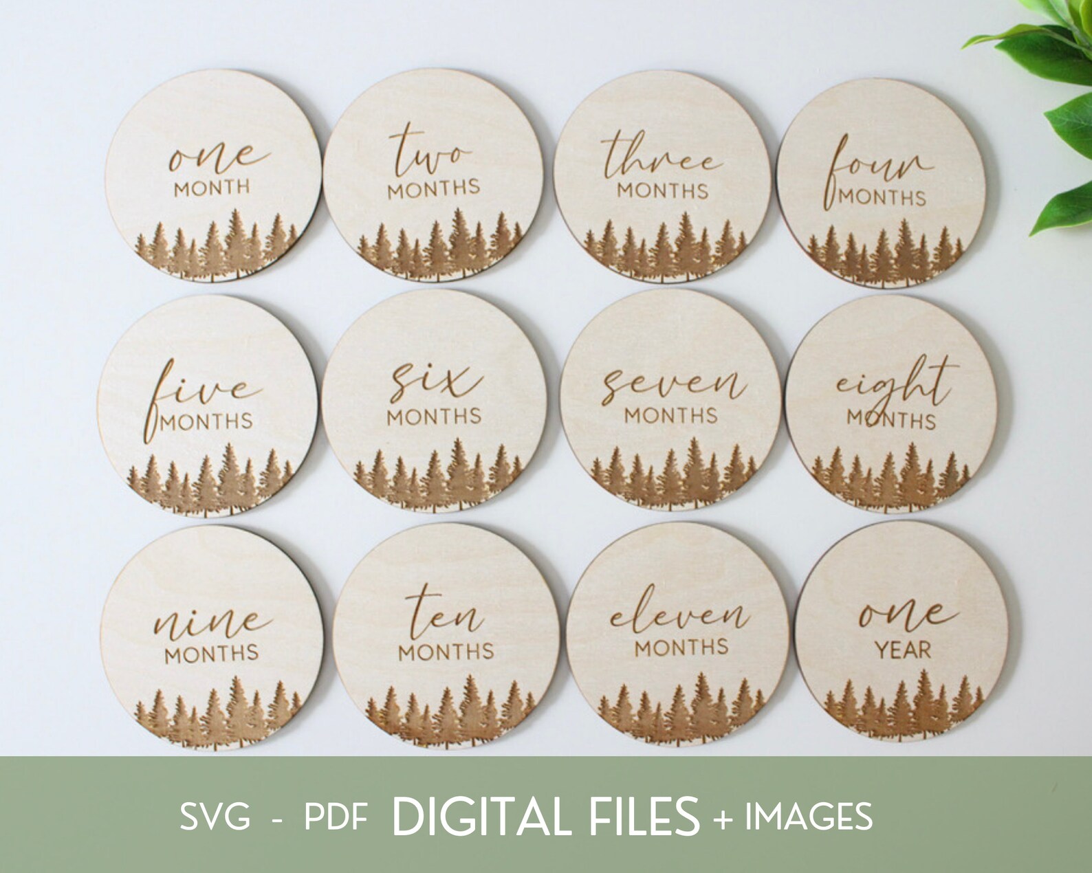 Complete Set of Forest Themed Baby SVG Wooden Rounds, Digital Cut File ...