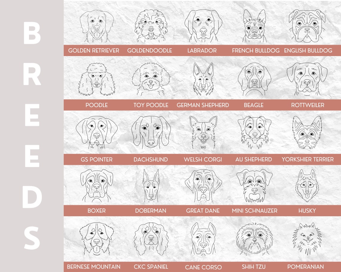 SCORING Engraving Top 25 Dog Breeds Glowforge Laser Cutting - Etsy