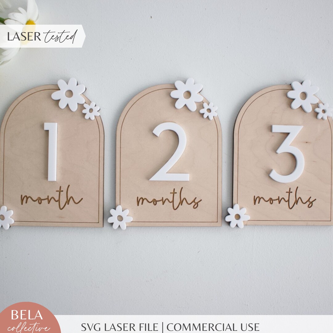 SVG Daisy Milestone Set | Reversible First Year of Baby Photo Props ...