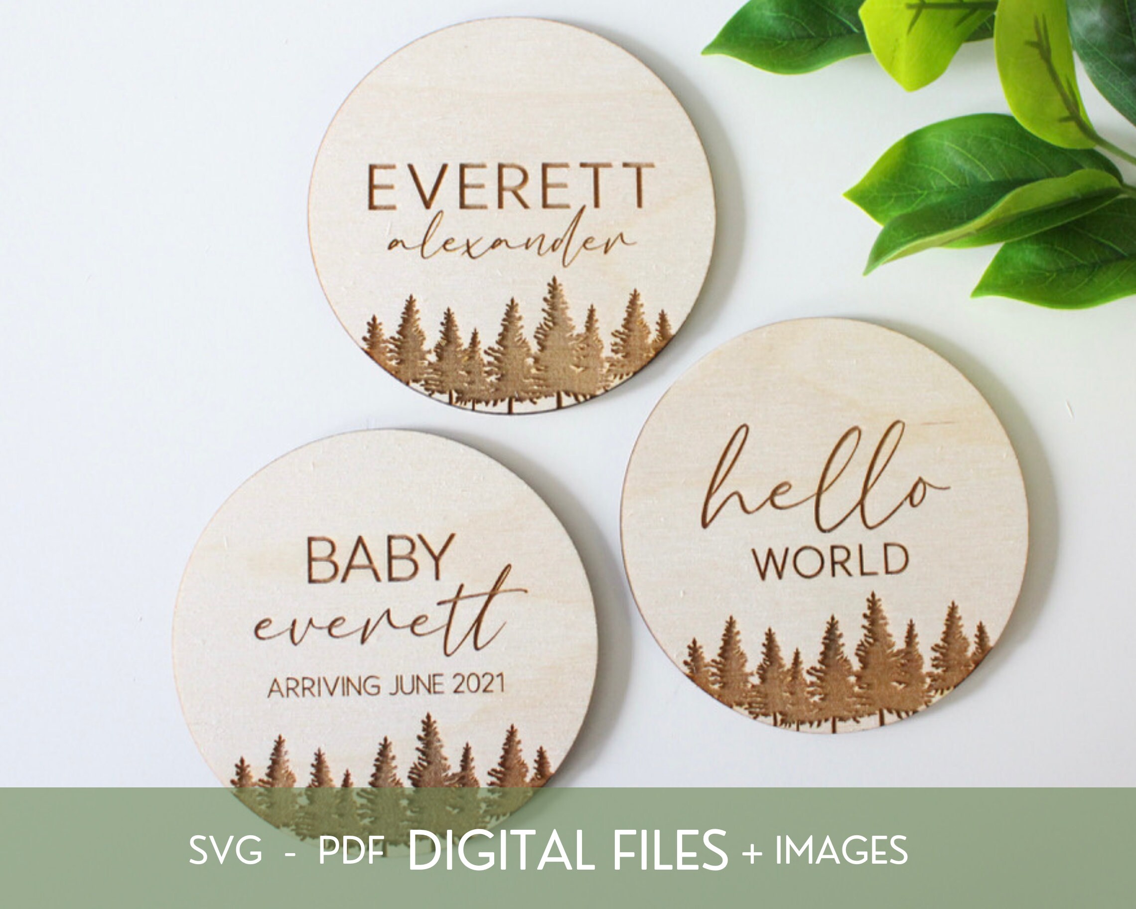Complete Set of Forest Themed Baby SVG Wooden Rounds, Digital Cut File ...