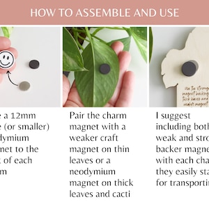 Googly Eyes SVG Files Plant Personality Magnet Set | Glowforge Laser ...