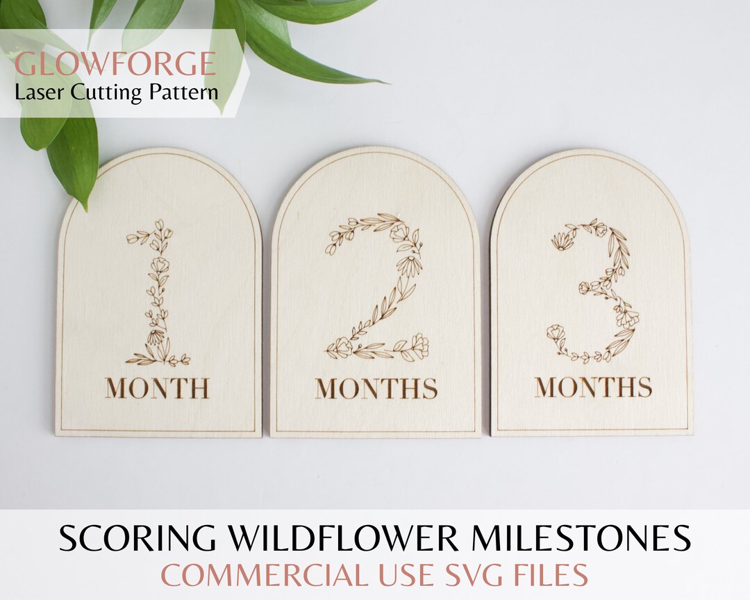 SVG Wooden Arch Baby Milestones Wildflower Numbers Theme - Etsy