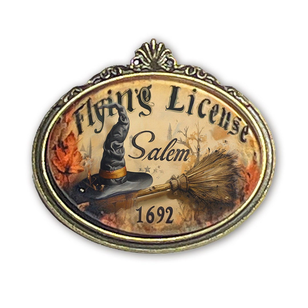 Witch's Flying License Brooch, Fun Witch Pin, Victorian Inspired Witch ...
