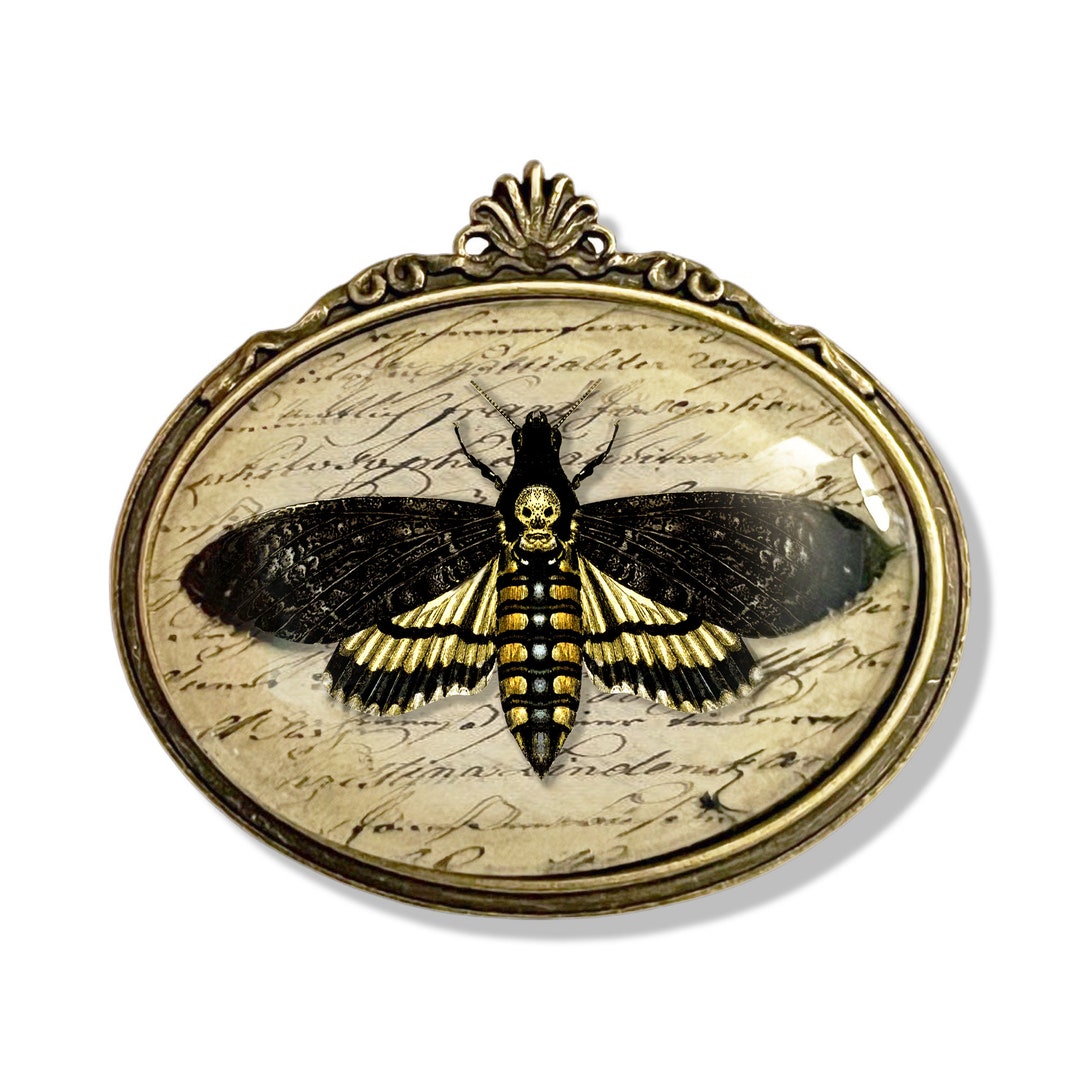 Death's Head Moth Brooch, Death Head Moth Pin, Hawkmoth Pin, Acherontia ...