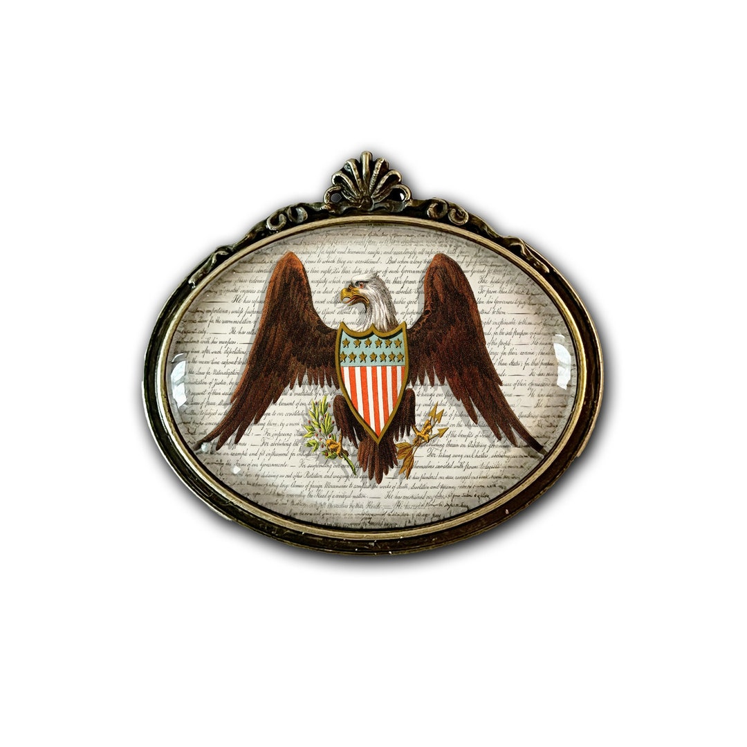 Patriotic Eagle Brooch: USA Shield & Declaration of Independence Pin - Etsy