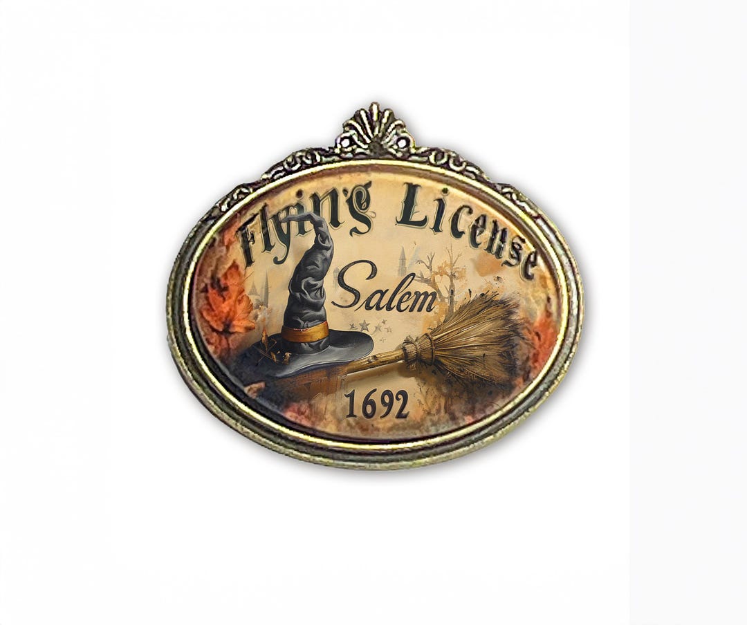 Salem Witch Flying License Brooch, 1692 Halloween Magic Pin, Witch Hat ...