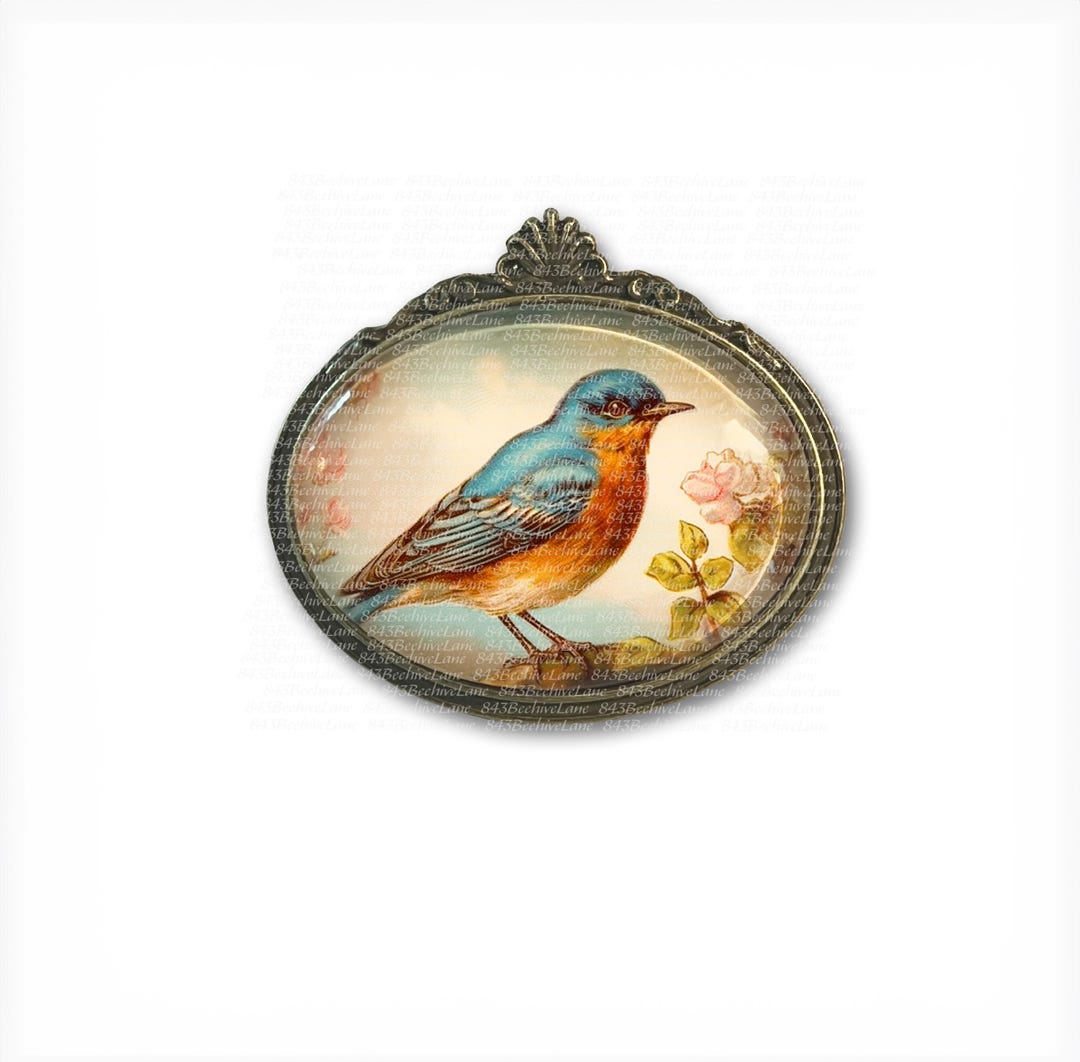 Bluebird Brooch: Victorian Style Spring Bird & Cherry Blossoms Pin - Etsy