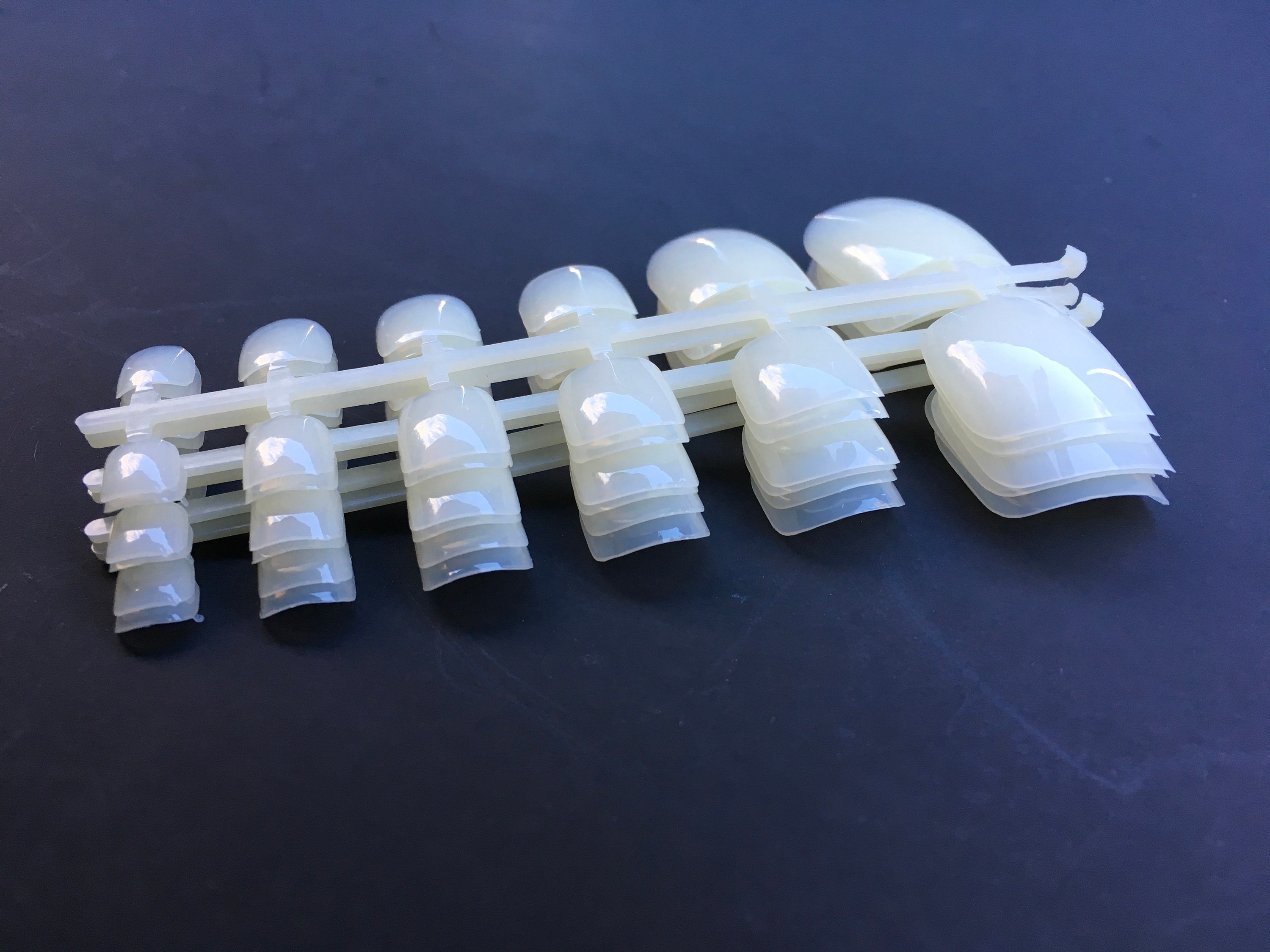 All Natural Toes False Toe Nails Fish Bone Style Spine Full | Etsy