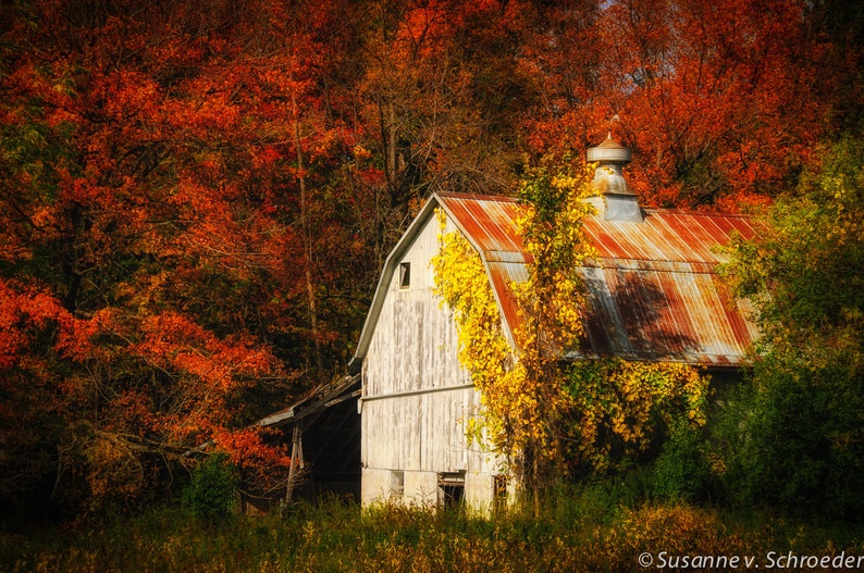 Nature Photography, Old Barn, Fall Colors, Autumn Decor, Fine Art Print ...