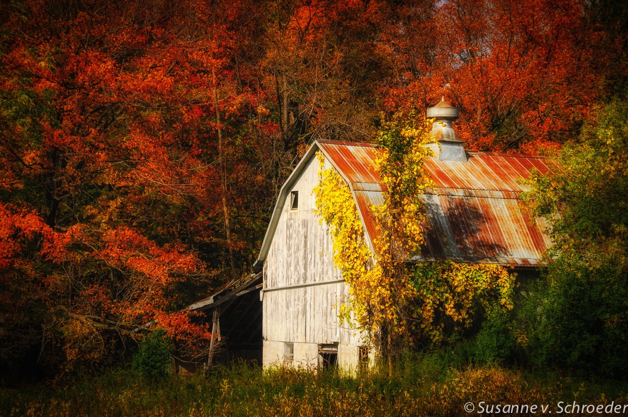Nature Photography, Old Barn, Fall Colors, Autumn Decor, Fine Art Print ...
