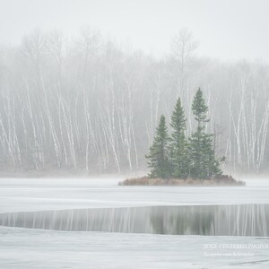 Nature Photography, Tree Reflections, Birch Trees, Spruce, Fine Art ...