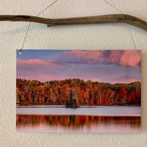 Nature Photography, Autumn Landscape, Dawn, Birch Trees, Fall Colors ...